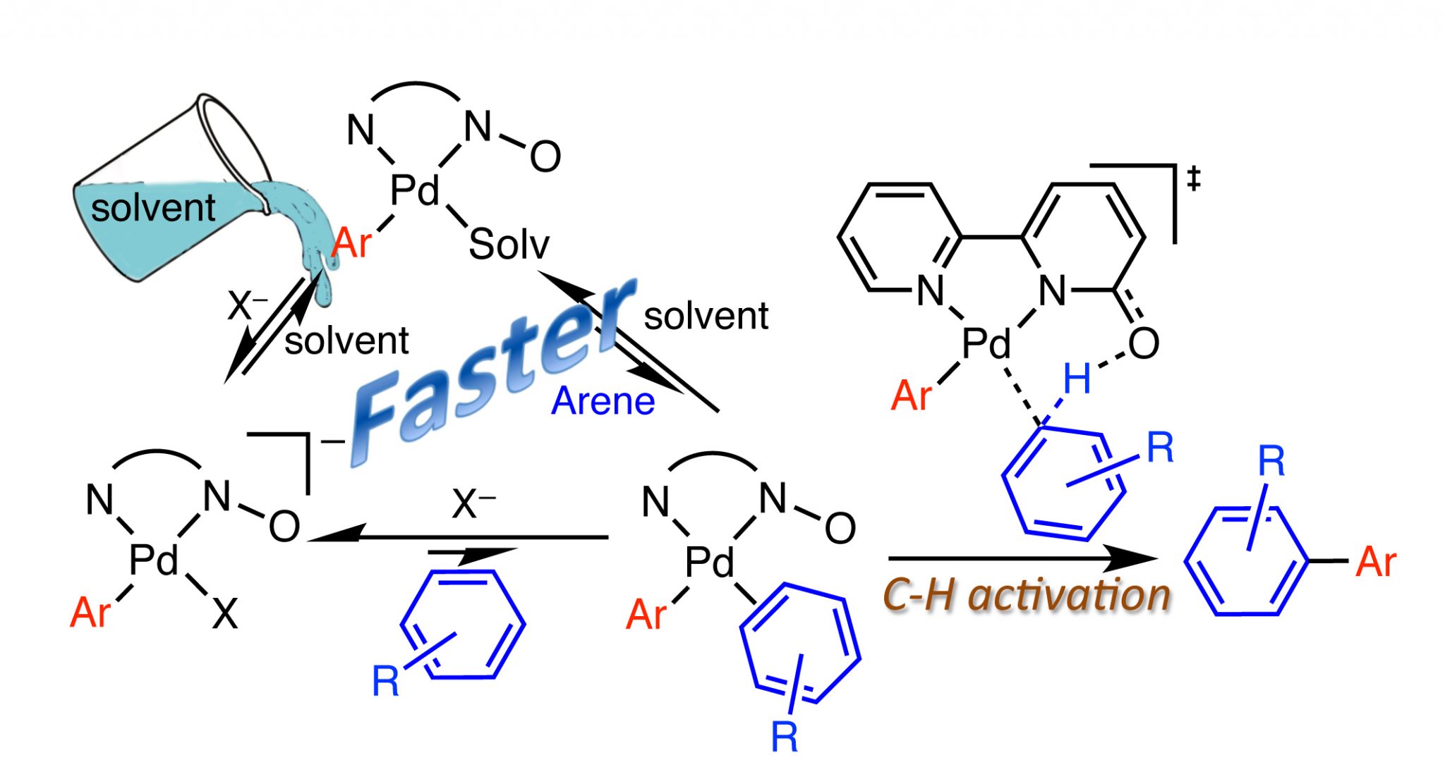 New reactions, new catalysts | Catalysis and Polymers